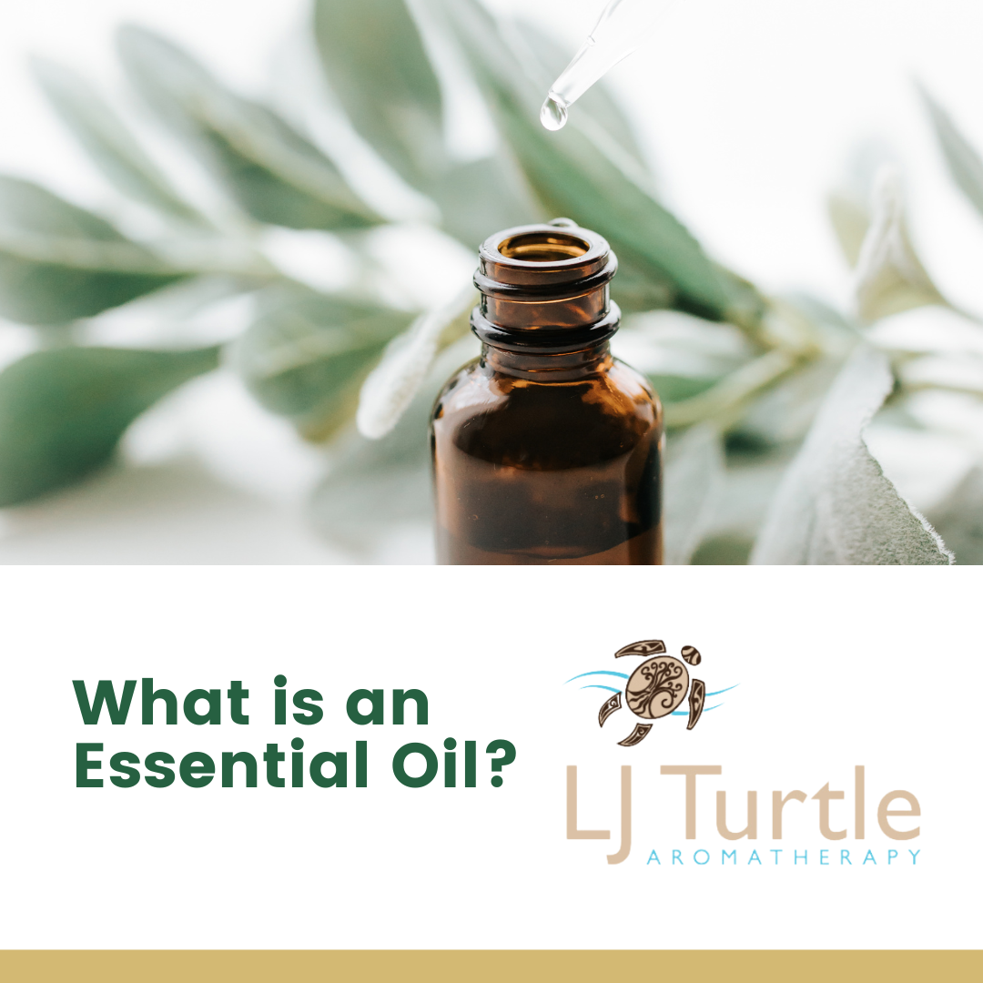 What is an essential oil? – LJ Turtle Aromatherapy & Accessories