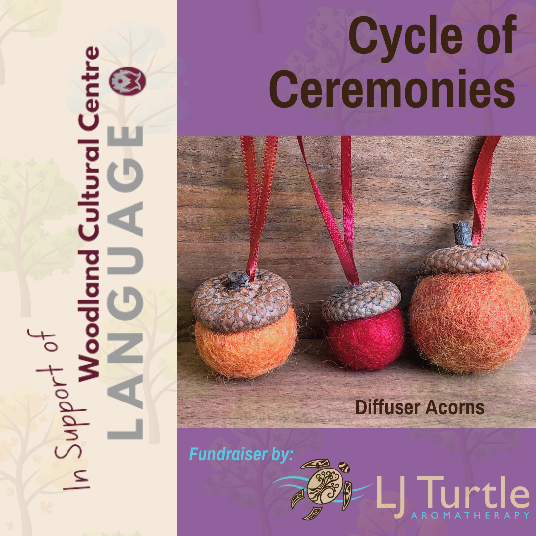 Towards Truth & Reconciliation – LJ Turtle Aromatherapy & Accessories